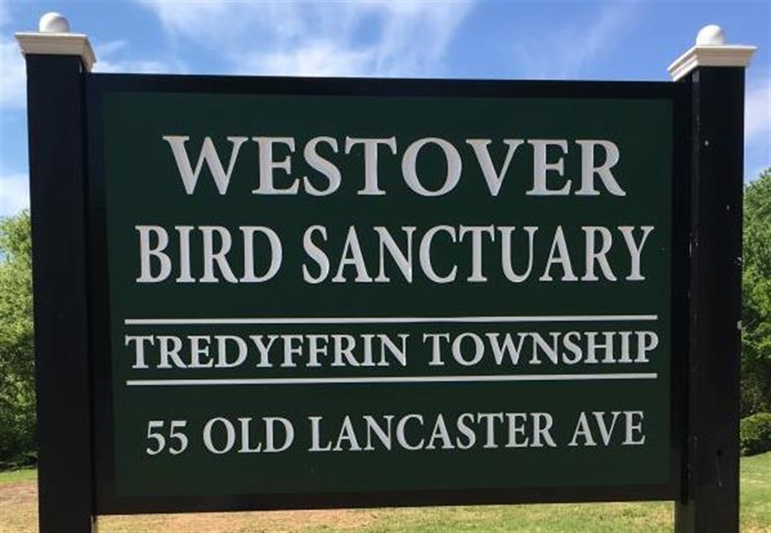 Westover Bird Sanctuary Tredyffrin Township